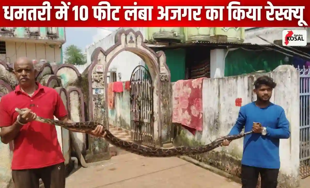 धमतरी में 10 फीट लंबे अजगर का रेस्क्यू, एक घंटे में पांच सांप पकड़े गए